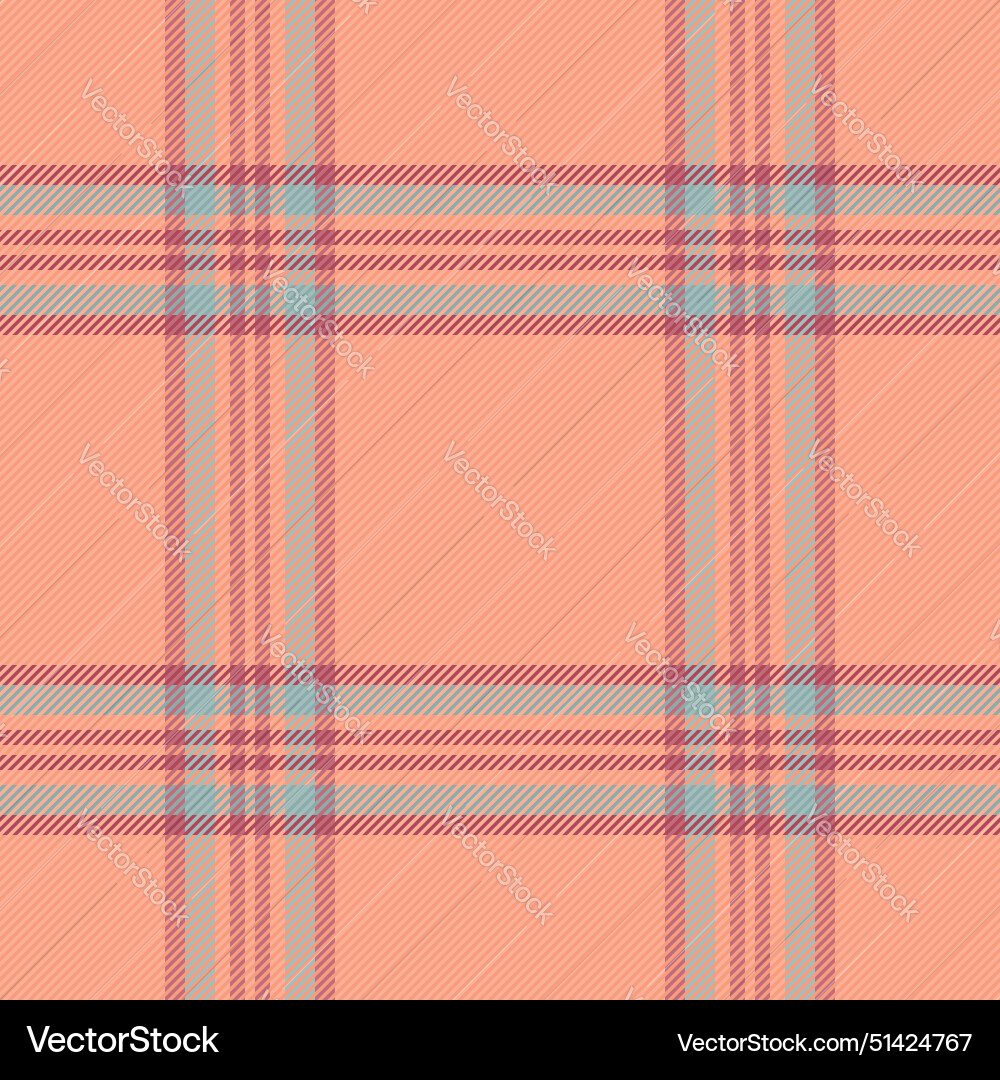Lady texture check tracery plaid seamless pattern Vector Image