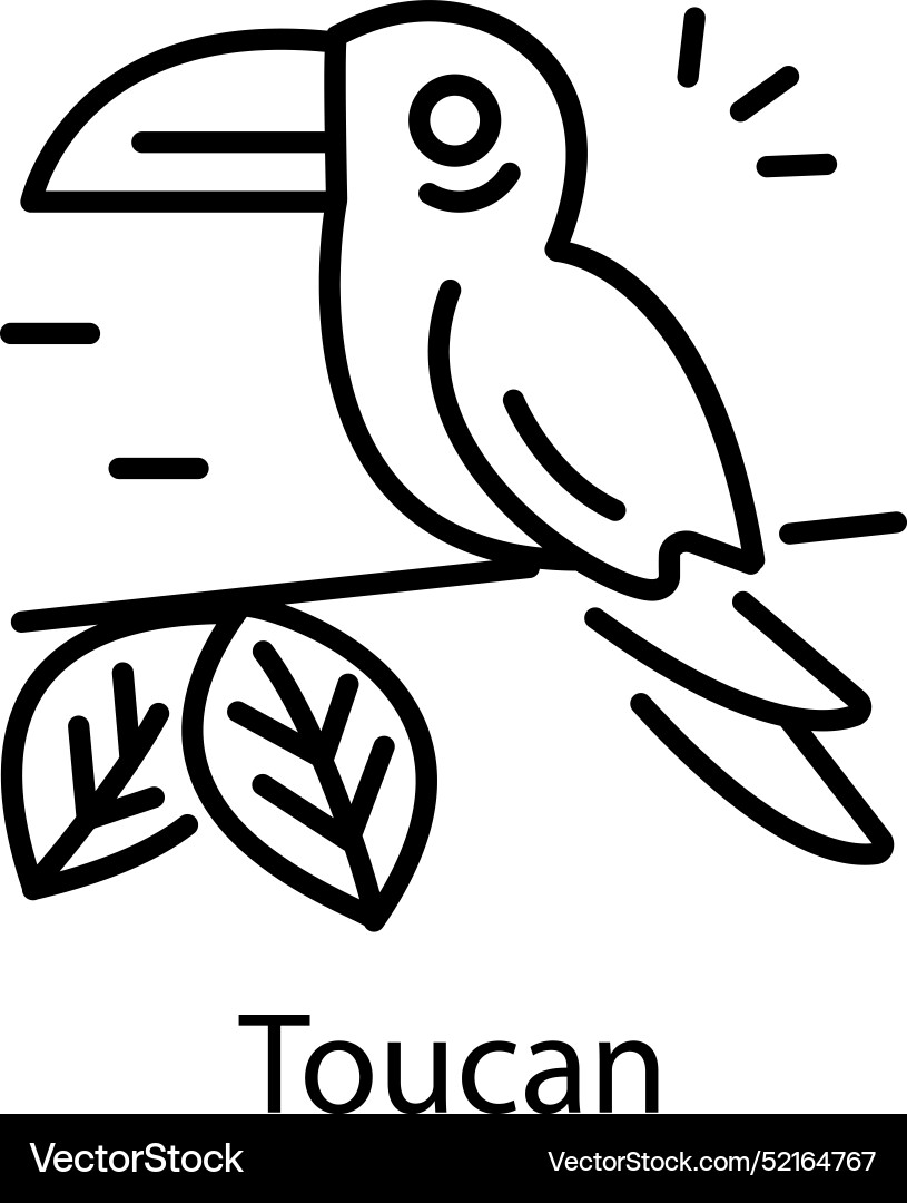 Toucan Royalty Free Vector Image - VectorStock