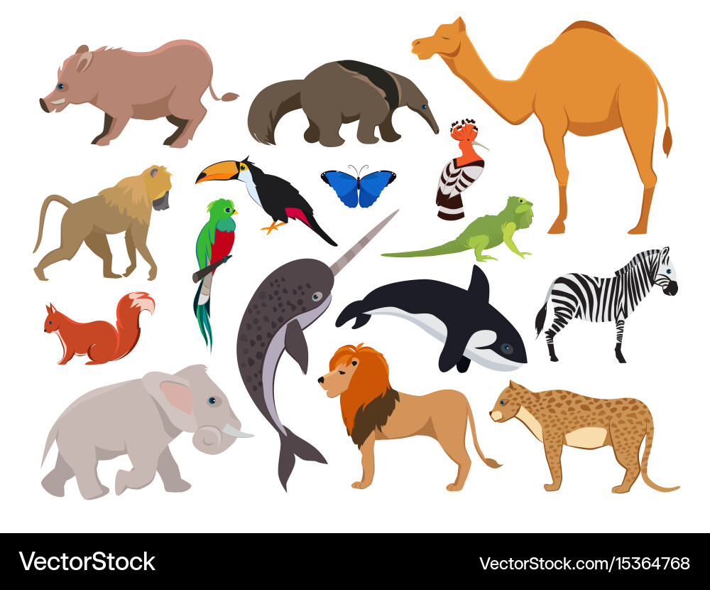 Adorable Zoo Animals Collection Royalty Free Vector Image