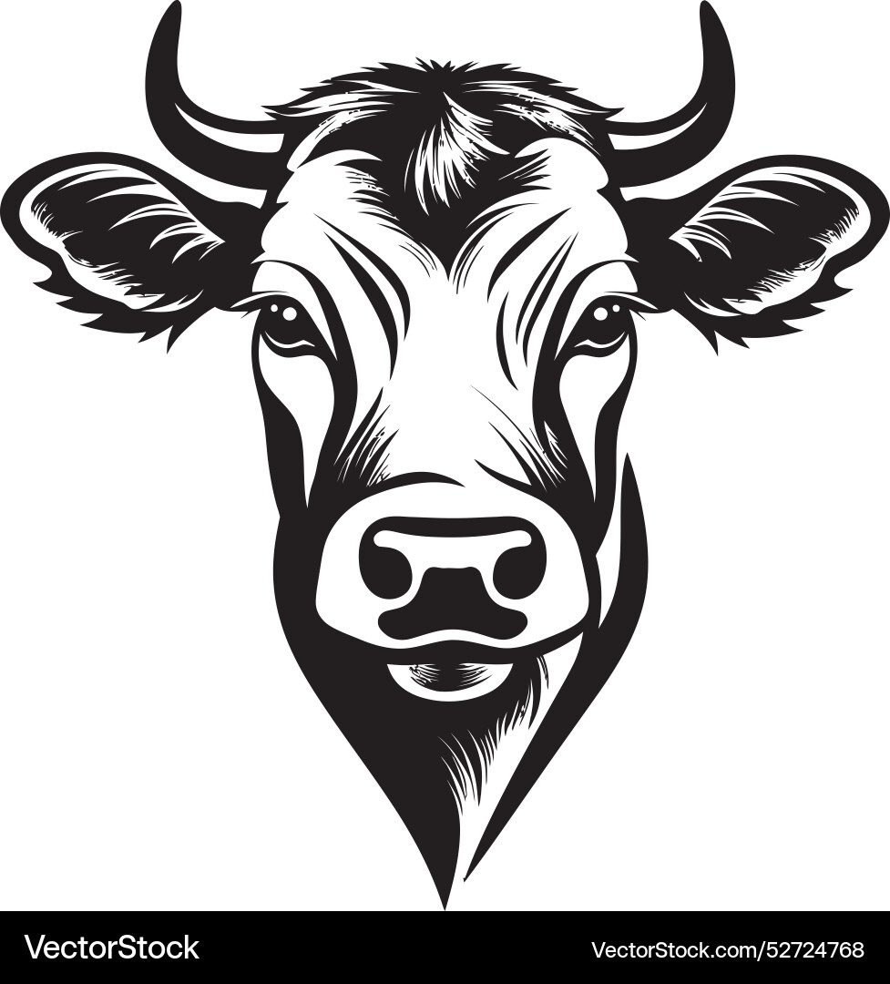 Beef beyond borders and boundaries Royalty Free Vector Image