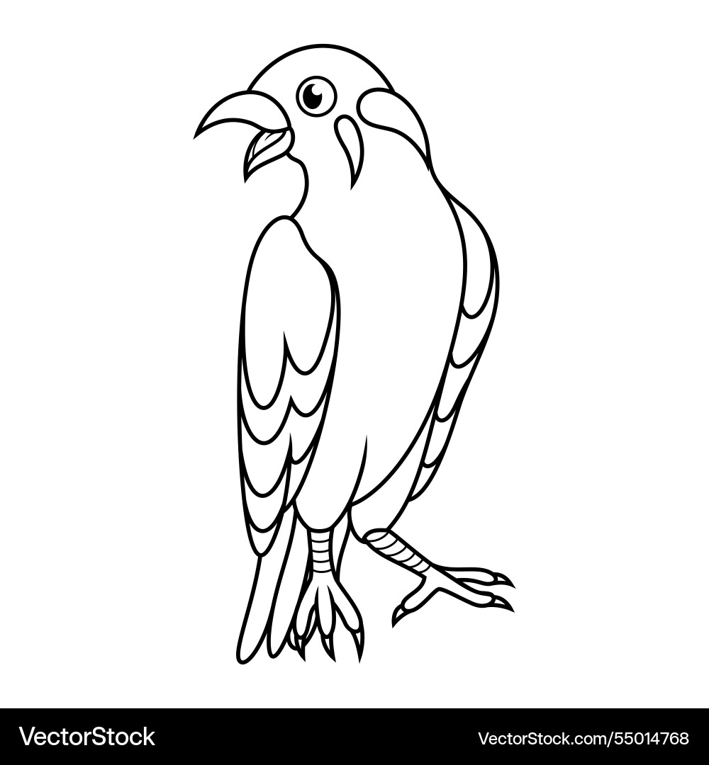 Cartoon myna bird line art Royalty Free Vector Image