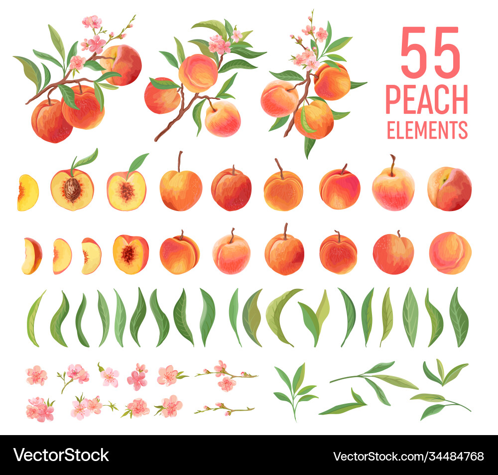Peach Wallpaper Vector Images (over 5,900)