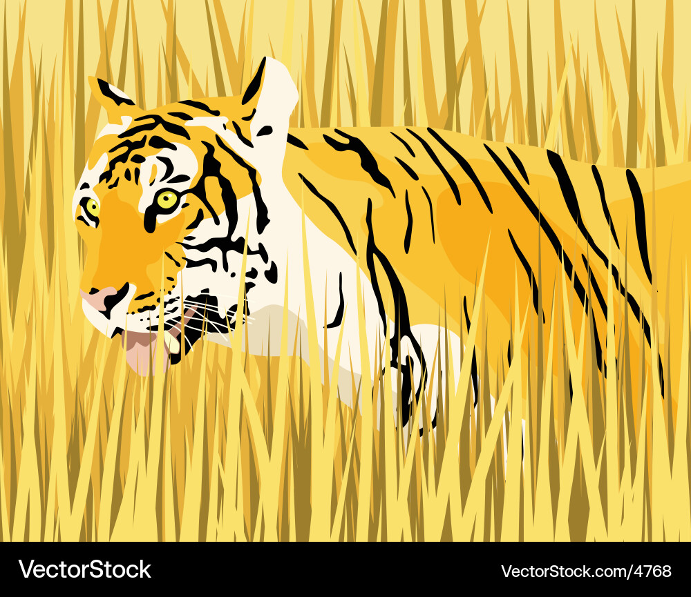 Tiger Royalty Free Vector Image - VectorStock
