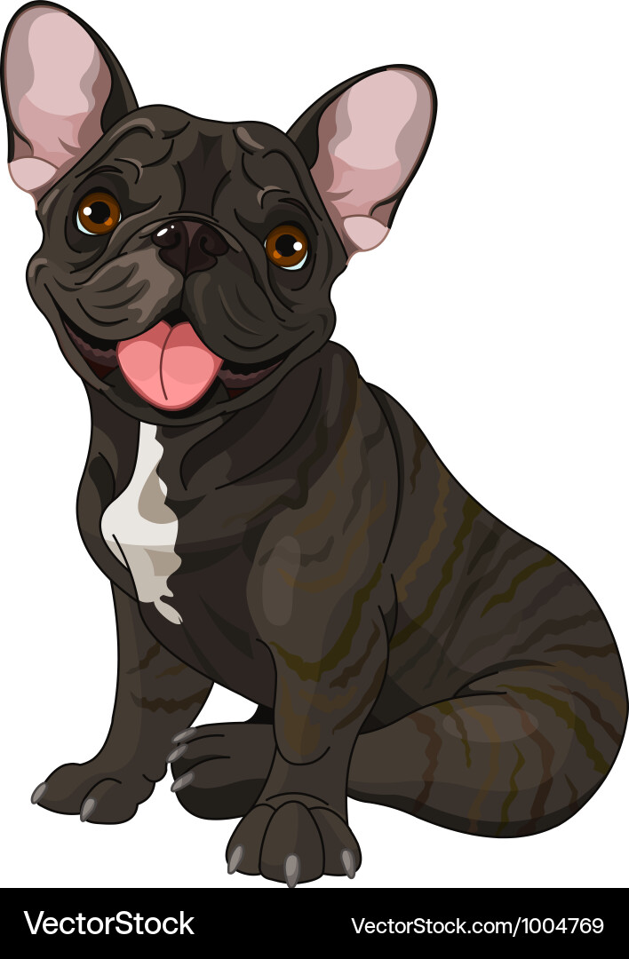 Cute bulldog Royalty Free Vector Image - VectorStock