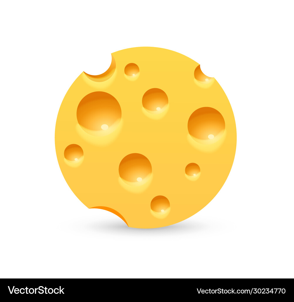 Realistic Round Cheese Icon Royalty Free Vector Image