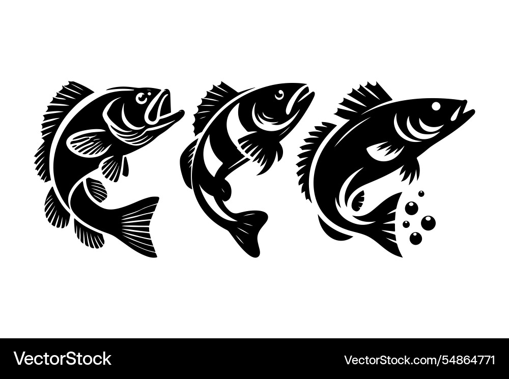 Get elegant climbing perch fish silhouettes Vector Image