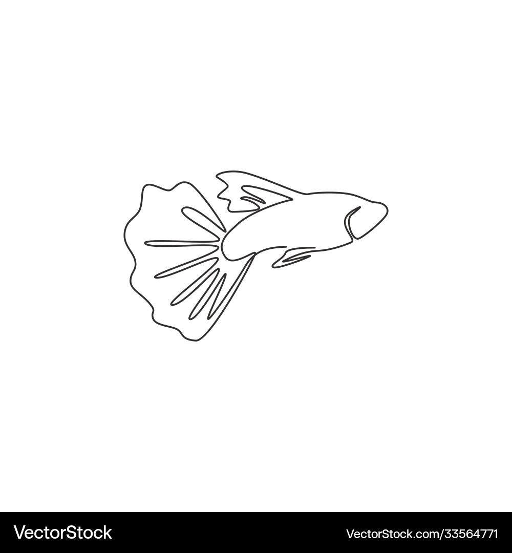Single continuous line drawing beauty guppy Vector Image