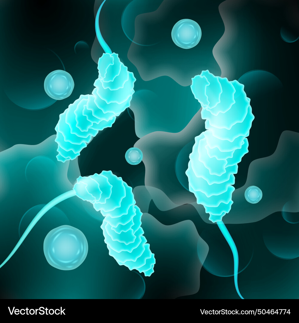 Abstract bacteria cells Royalty Free Vector Image