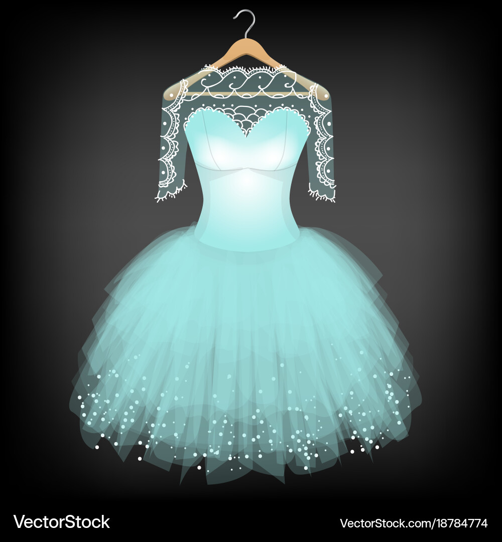 Elegant Blue Lace Dress Royalty Free Vector Image