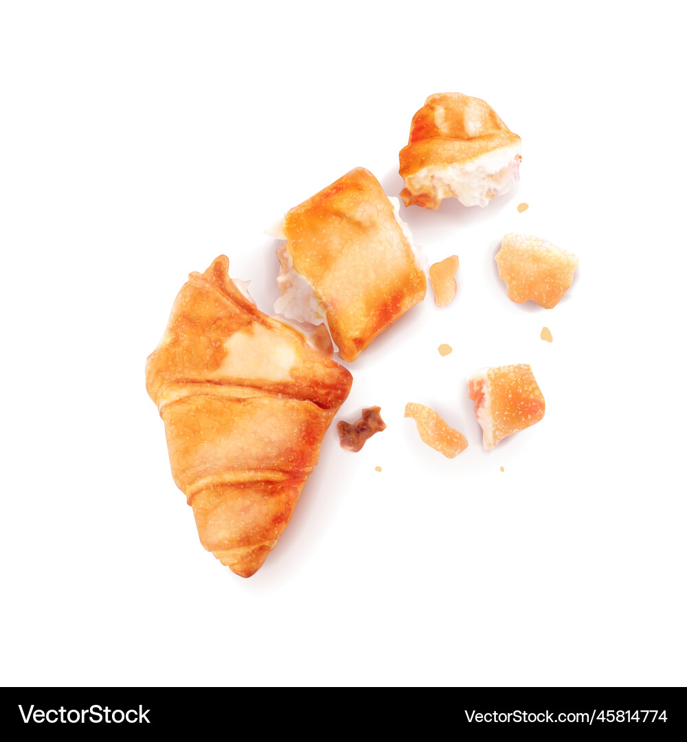 Pieces of fresh croissant Royalty Free Vector Image