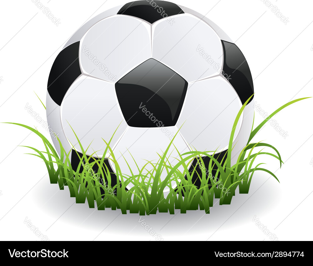 Soccer ball with grass Royalty Free Vector Image