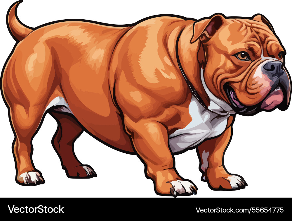 Athletic and powerful american bully dog Vector Image