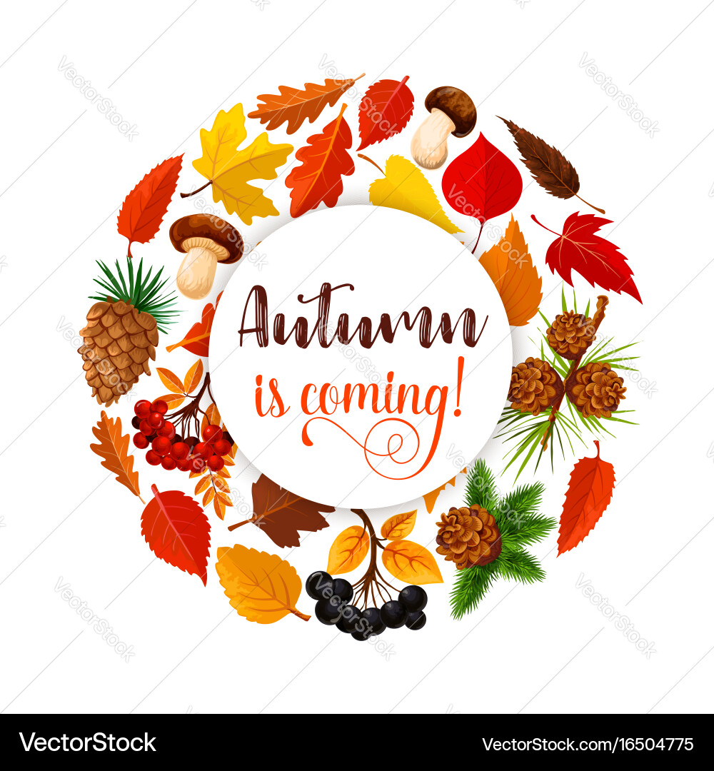 Autumn leaf poster for fall nature season design Vector Image