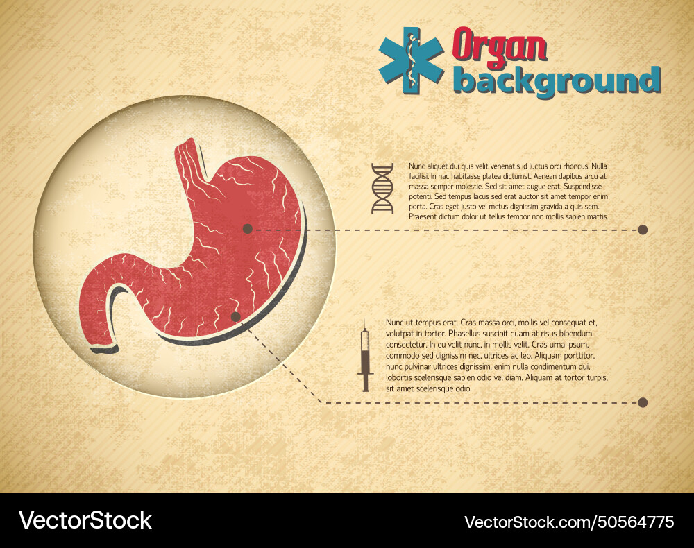 Colorful organ background poster Royalty Free Vector Image