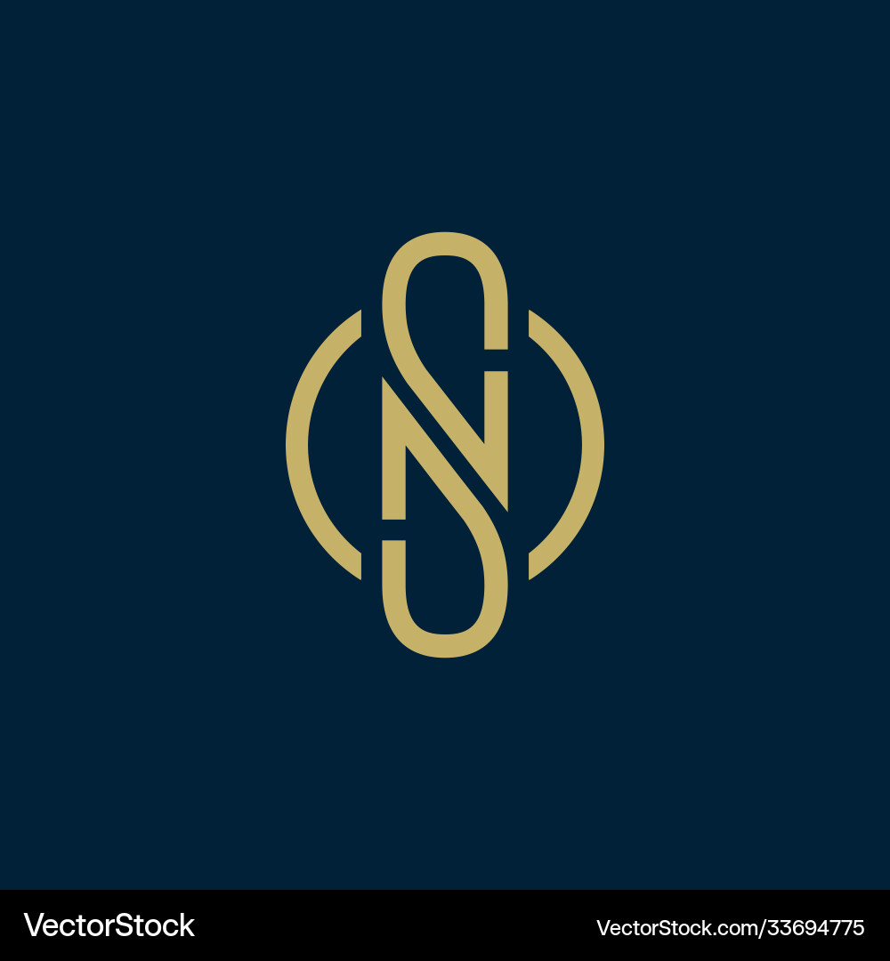 Letter ns logo initial icon design template Vector Image