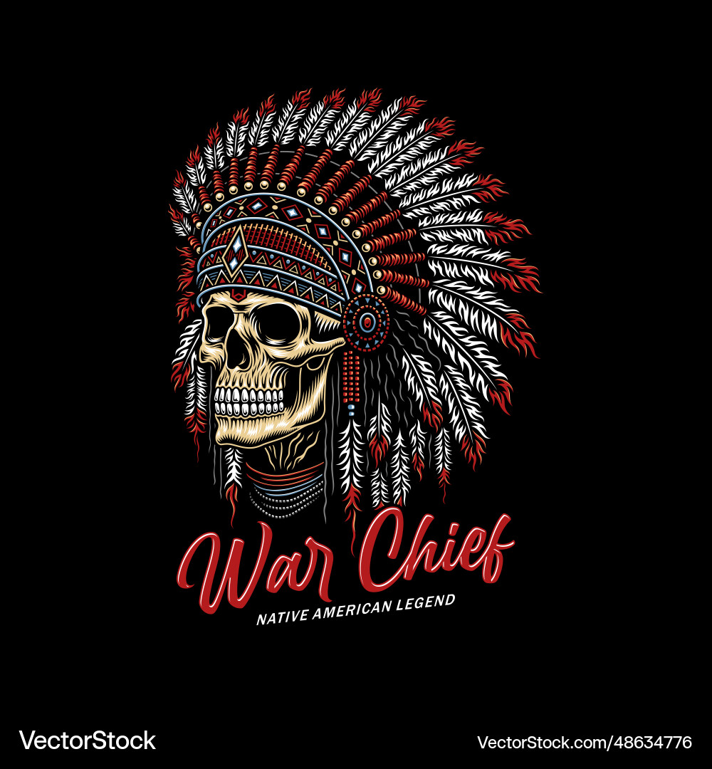 Native american indian chief skull graphic Vector Image