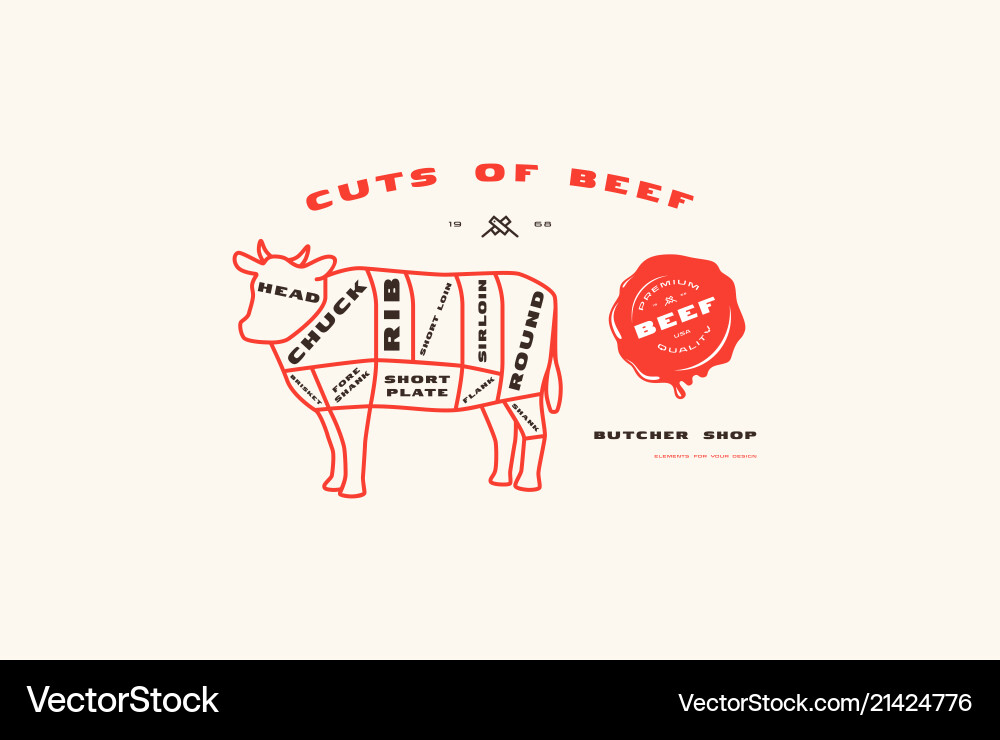 Stock beef cuts diagram in thin line style Vector Image