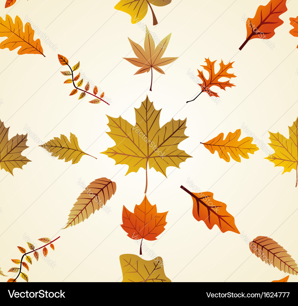 Autumn leaves seamless pattern background eps10 Vector Image