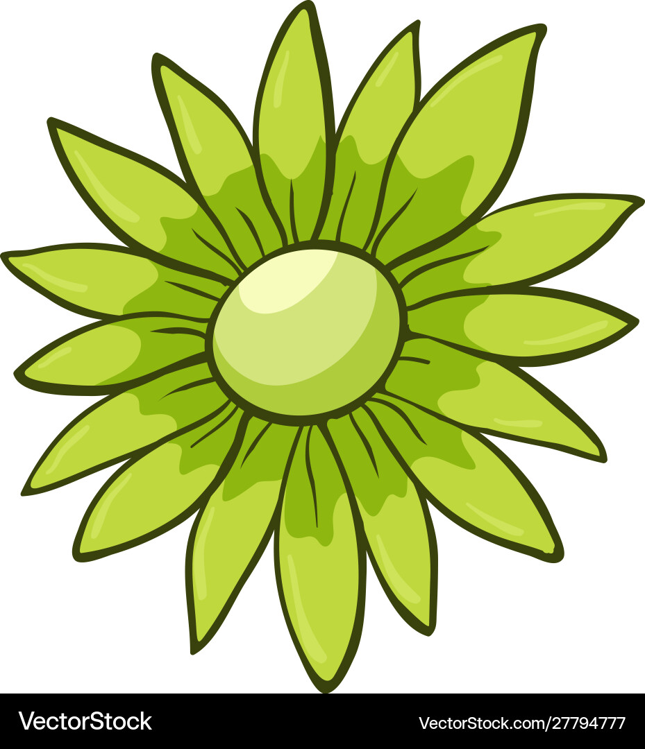 Single flower in green color Royalty Free Vector Image