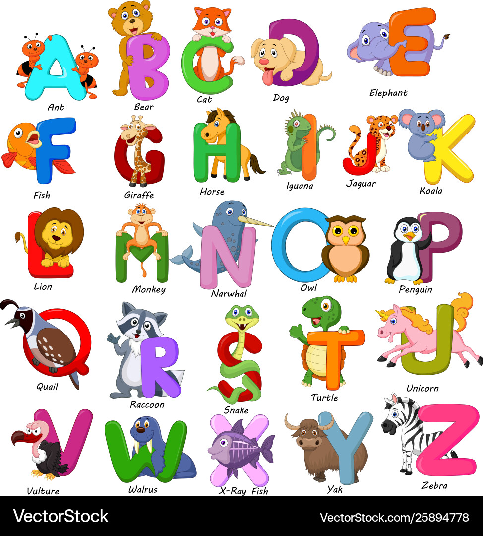 Animal Alphabet Set - Colorful Kids Learning Vector Image