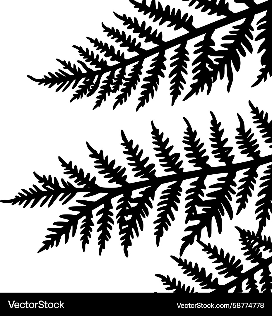 Elegant Fern Frond Silhouette Royalty Free Vector Image