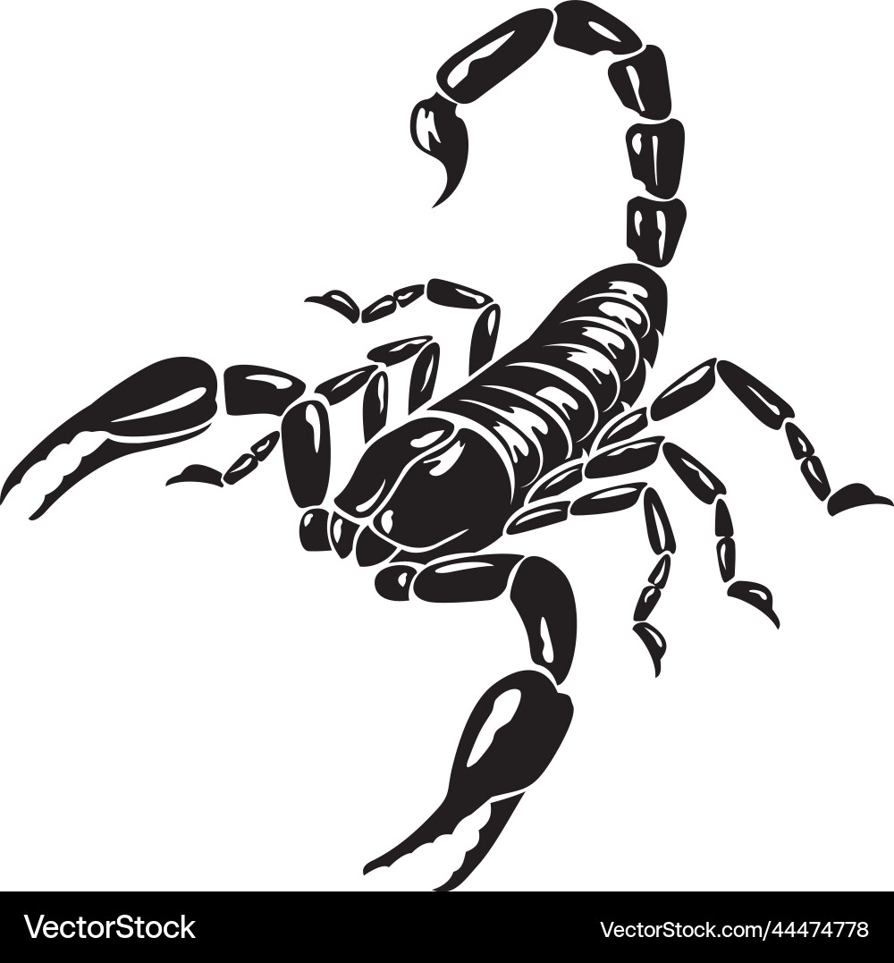 Scorpion animal black and white Royalty Free Vector Image