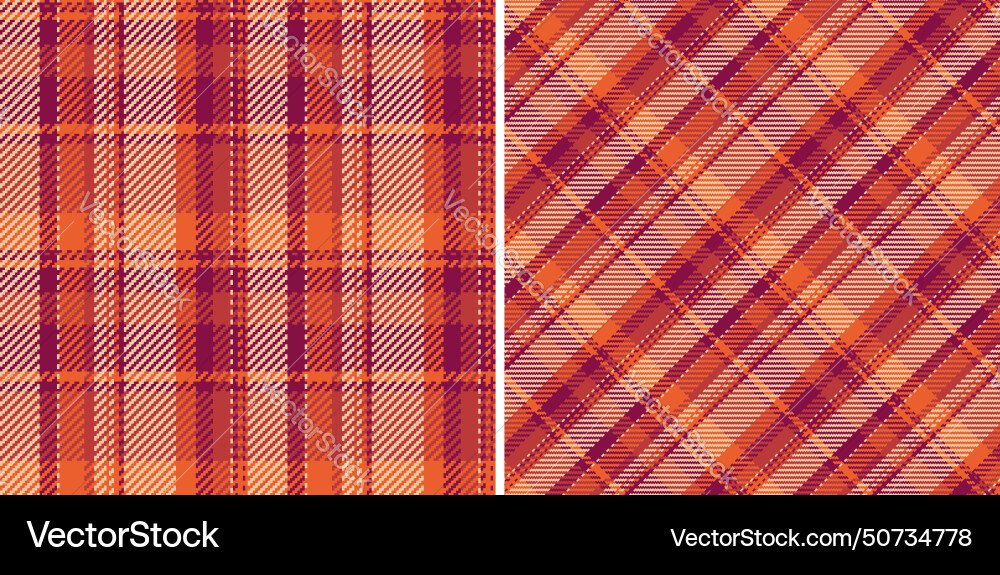 Texture textile plaid of background pattern Vector Image