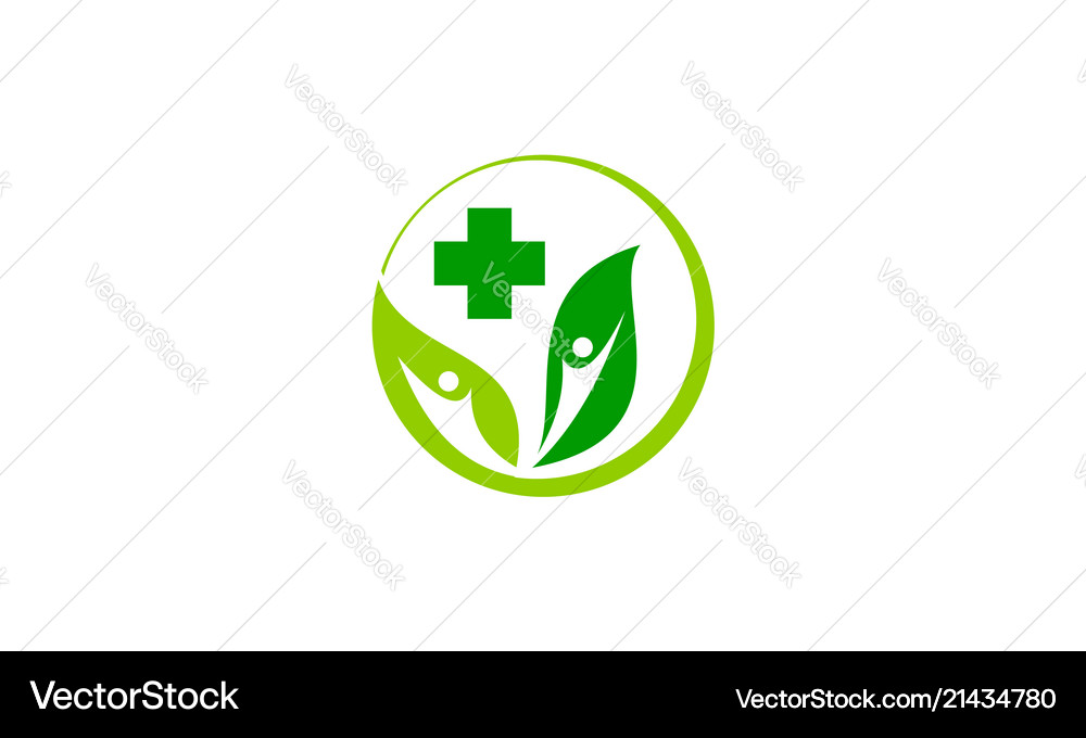 Leaf health logo design template Royalty Free Vector Image