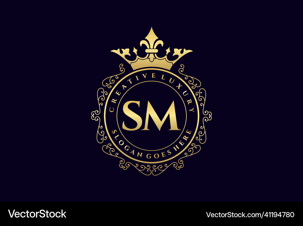 Sm initial letter luxury calligraphic feminine Vector Image