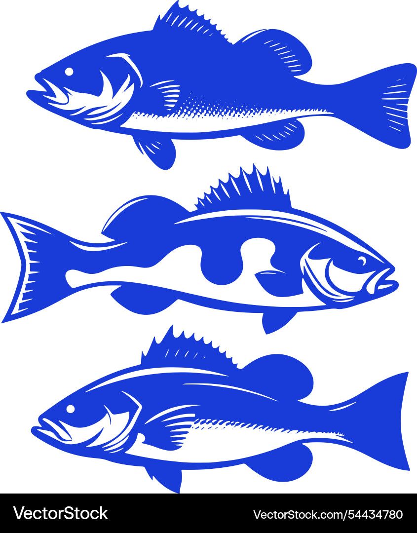 Three blue fish in a row Royalty Free Vector Image