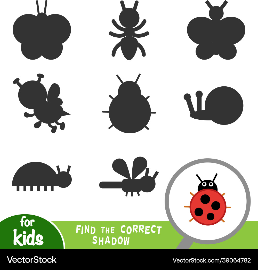 Ladybug Shadow Matching Game Royalty Free Vector Image