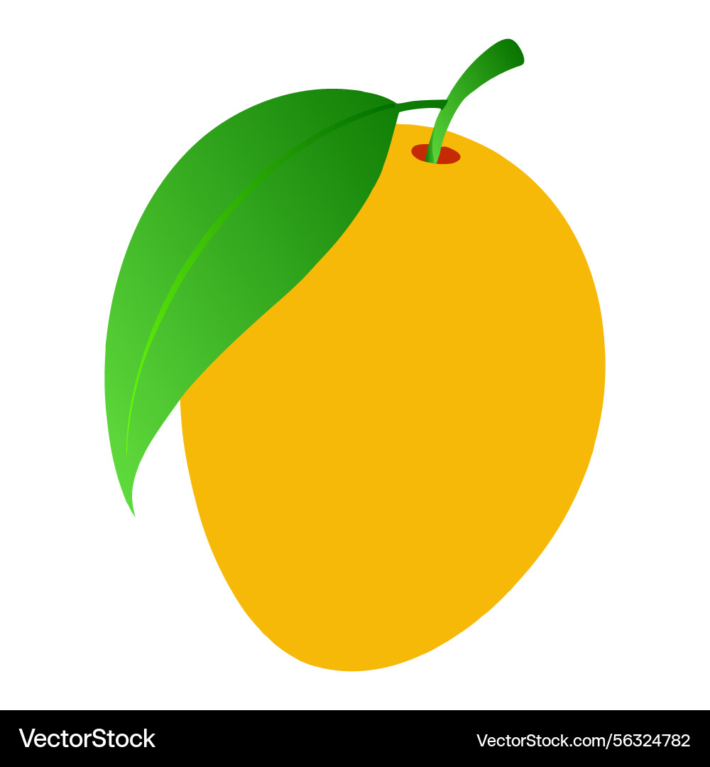 Mango design Royalty Free Vector Image - VectorStock