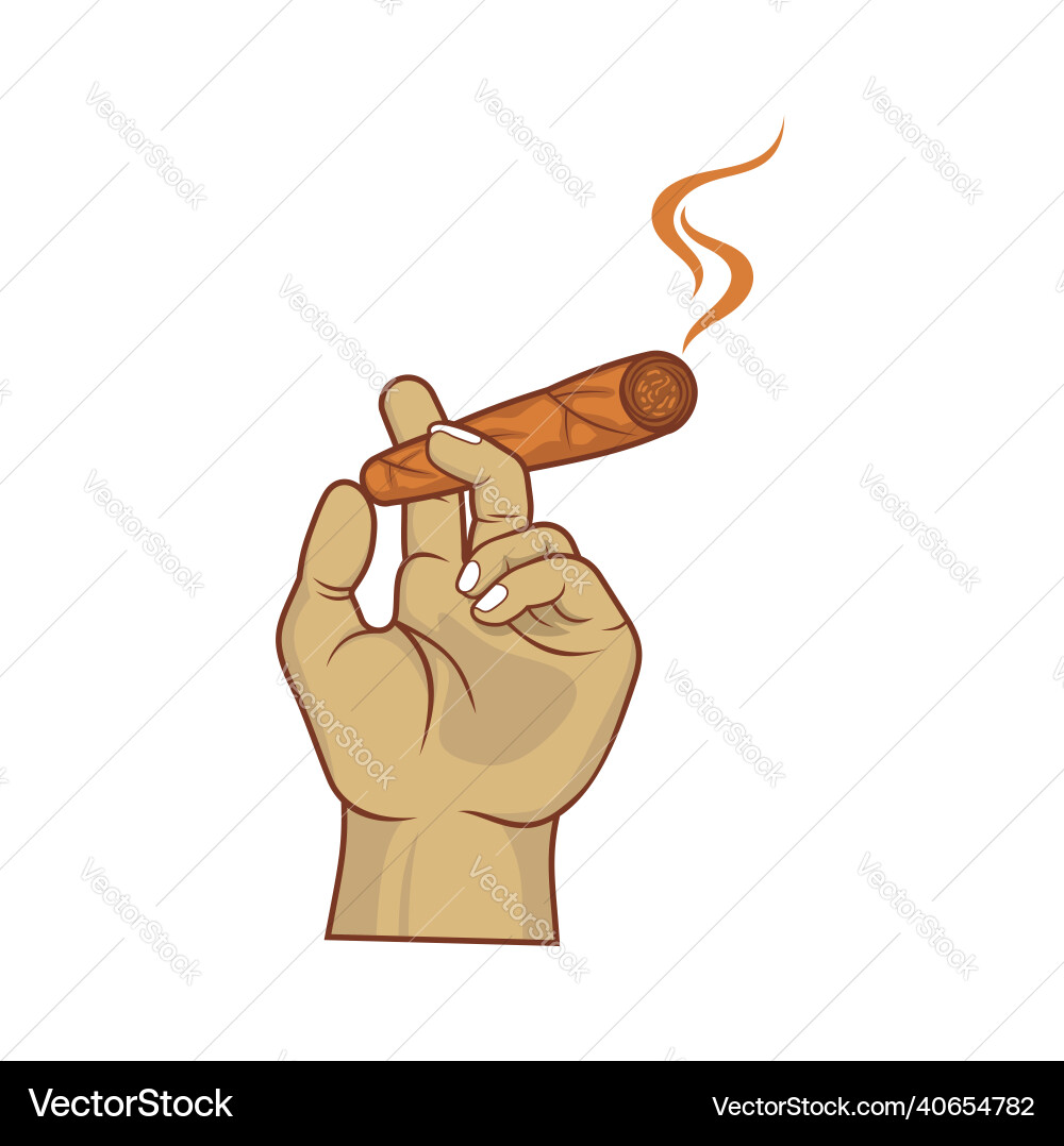 Tobacco cigar in hand Royalty Free Vector Image