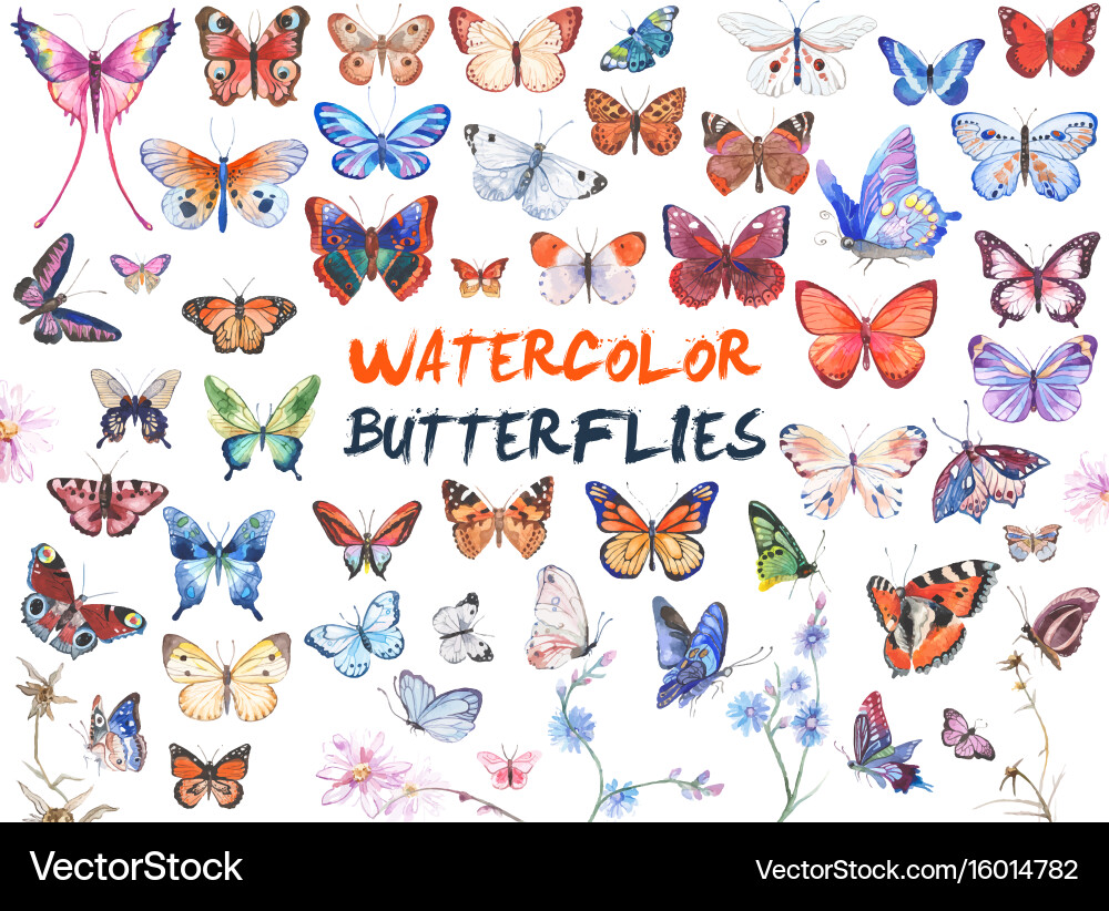 Watercolor Butterfly Set Royalty Free Vector Image