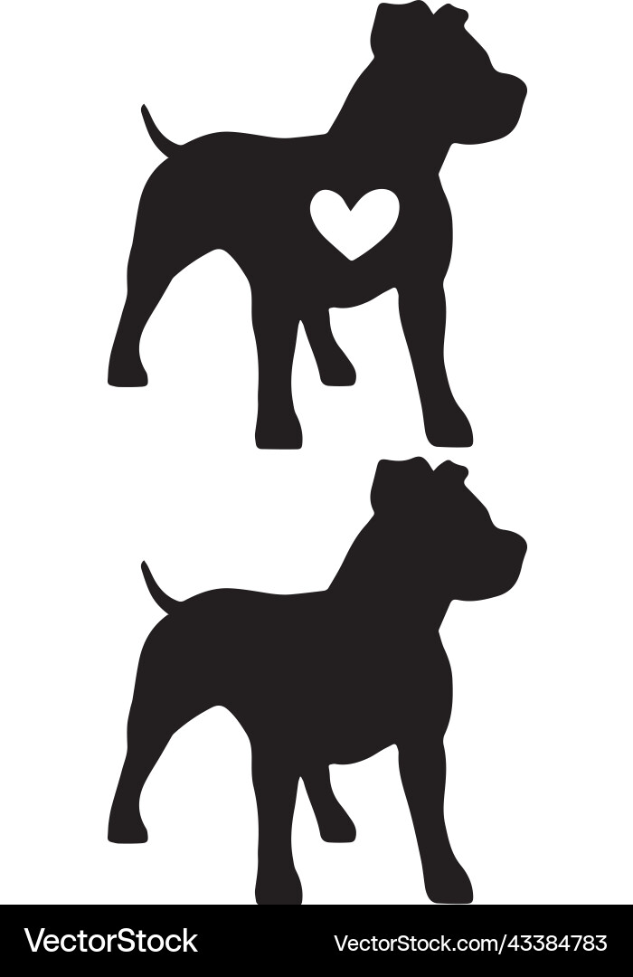 American pitbull 6 Royalty Free Vector Image - VectorStock