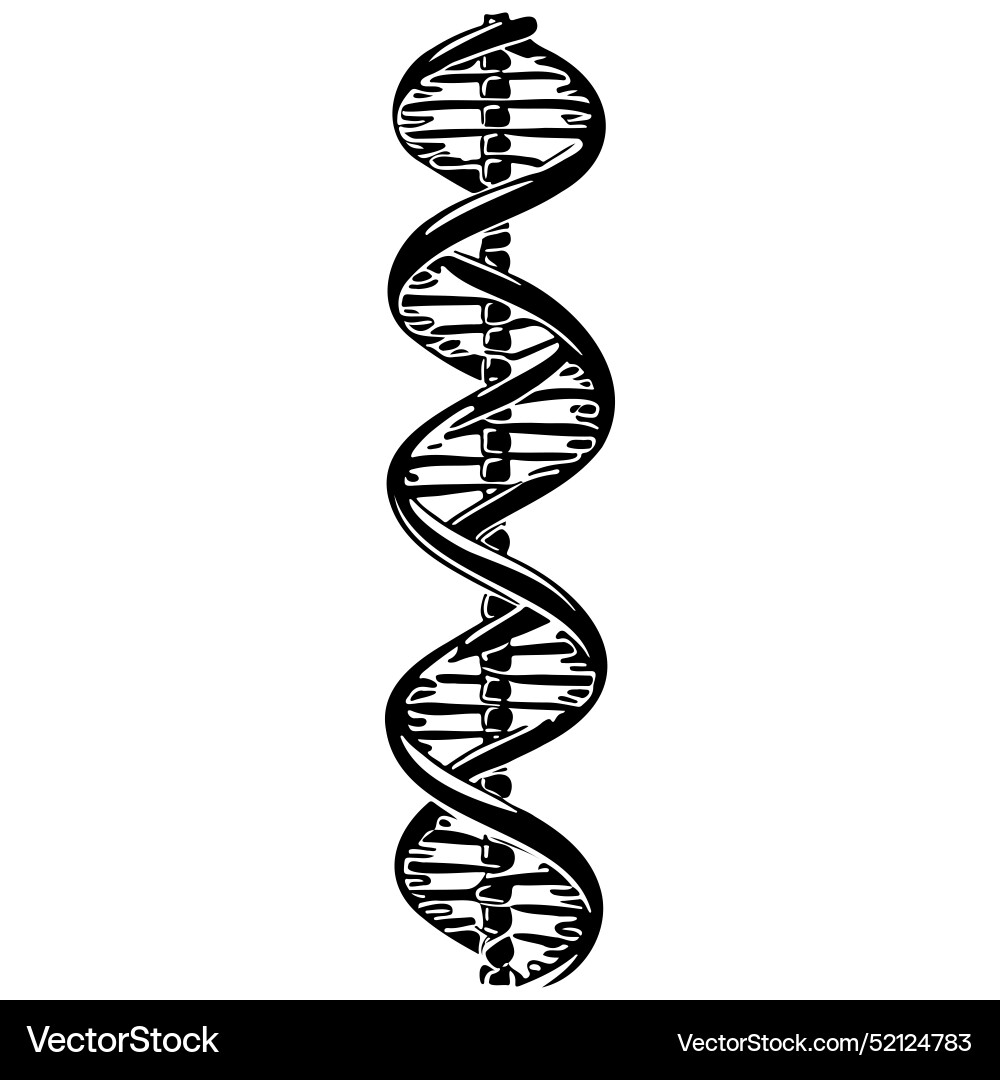 Cartoon dna drawing line head art black Royalty Free Vector