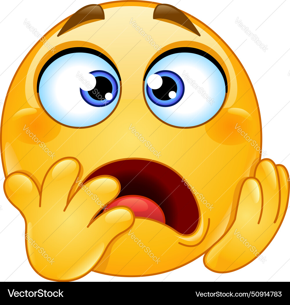 Concerned Face Emoticon