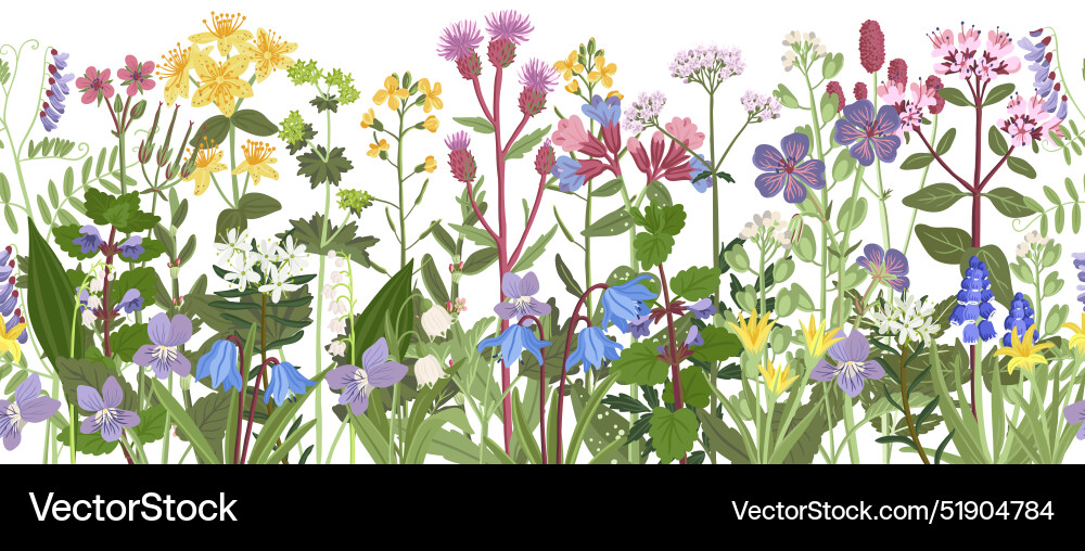 Drawing seamless pattern with wild flowers Vector Image