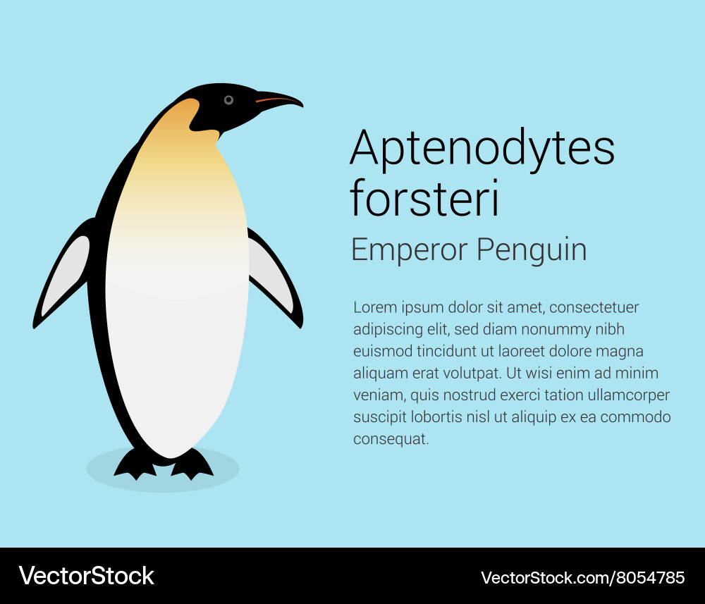 Emperor penguin flat isolated Royalty Free Vector Image