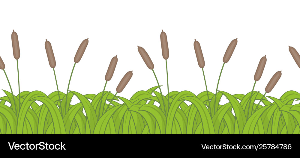 Bulrush border Royalty Free Vector Image - VectorStock