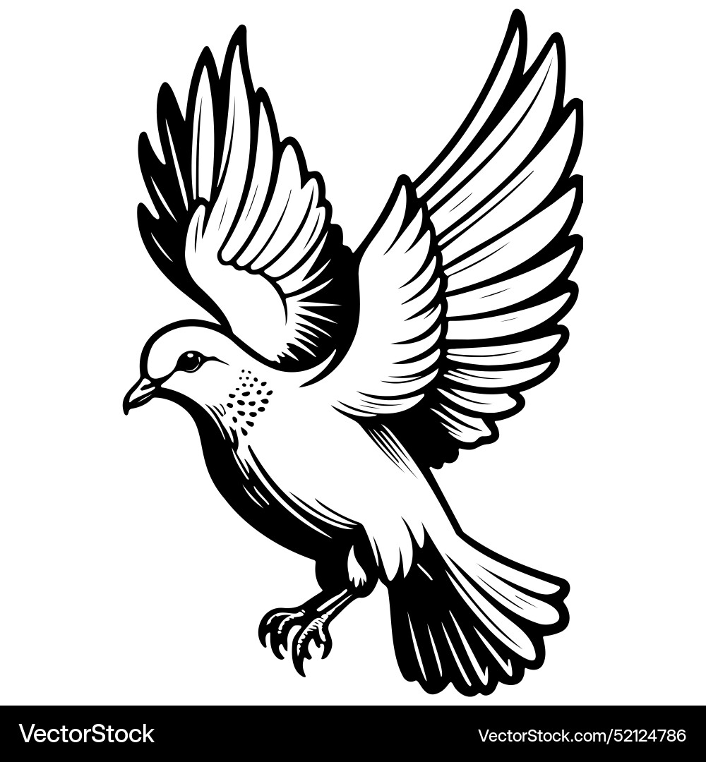 Cartoon dove drawing vintage line image Royalty Free Vector