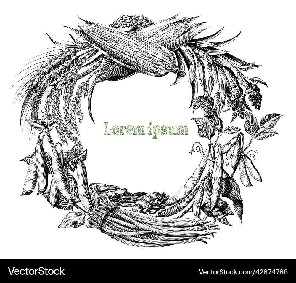 Vintage Grain Frame Engraving Royalty Free Vector Image