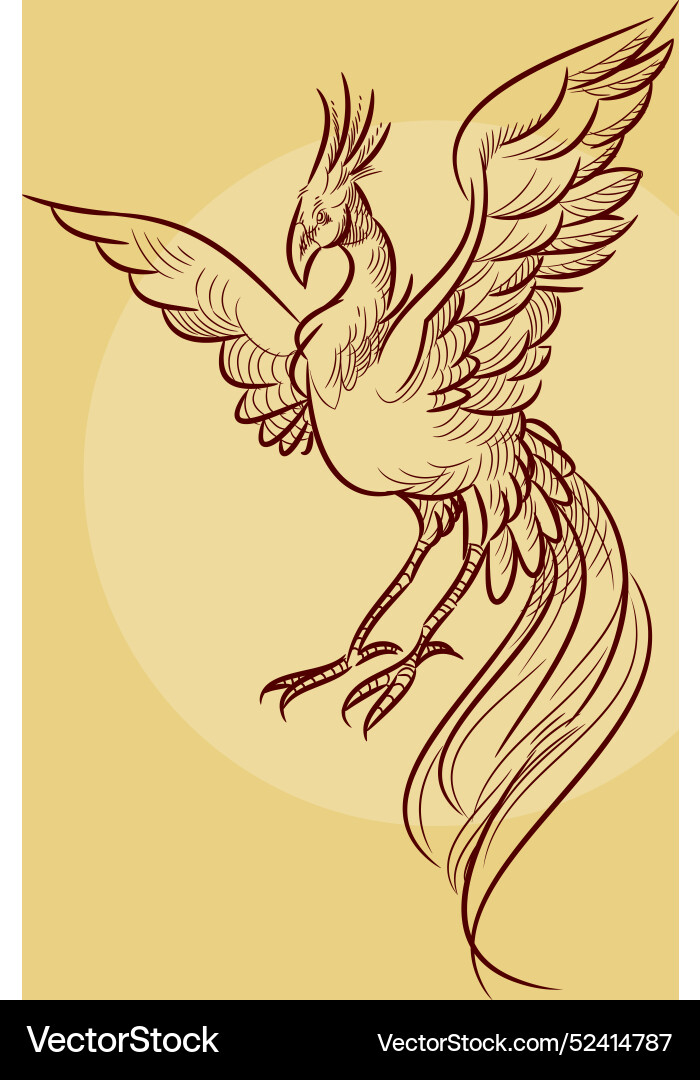 Phoenix Royalty Free Vector Image - VectorStock