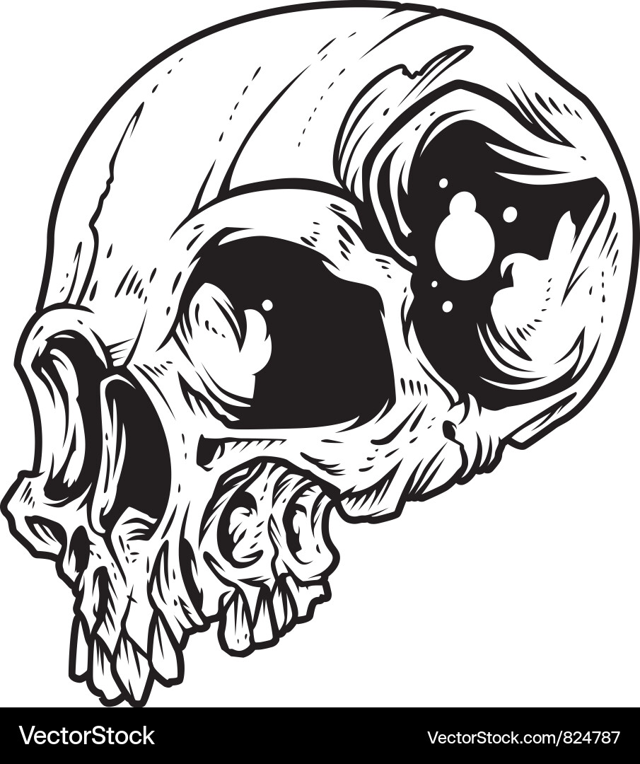 Skull Royalty Free Vector Image - VectorStock