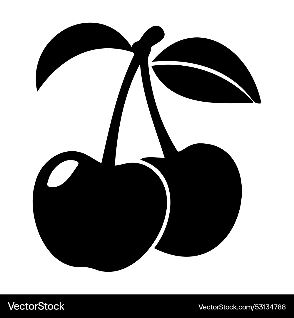 Cherry Royalty Free Vector Image - VectorStock