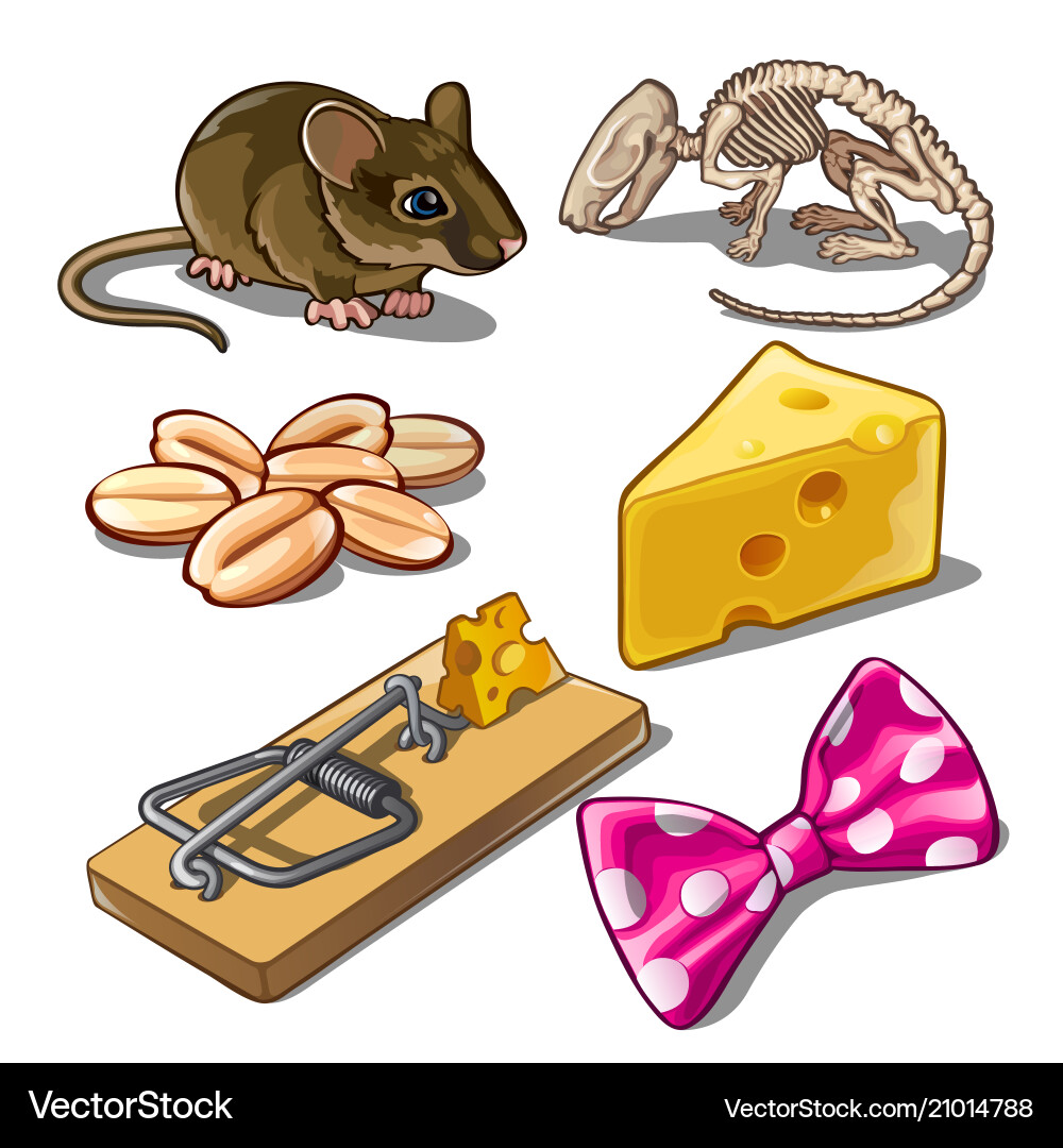 Mousetrap Collection - Catching Mice Royalty Free Vector