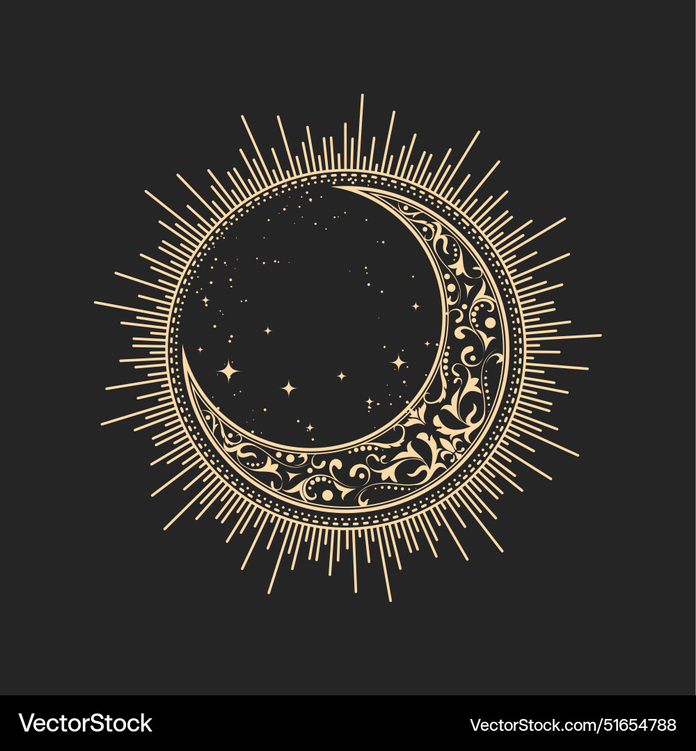 Moon Half Sun Designs Half Golden Moon And Half Sun 44312249 Vector