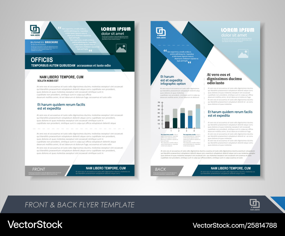 Presentation flyer design template Royalty Free Vector Image