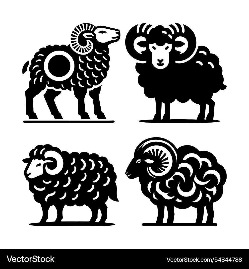 Unique dumba sheep silhouette for rustic and Vector Image