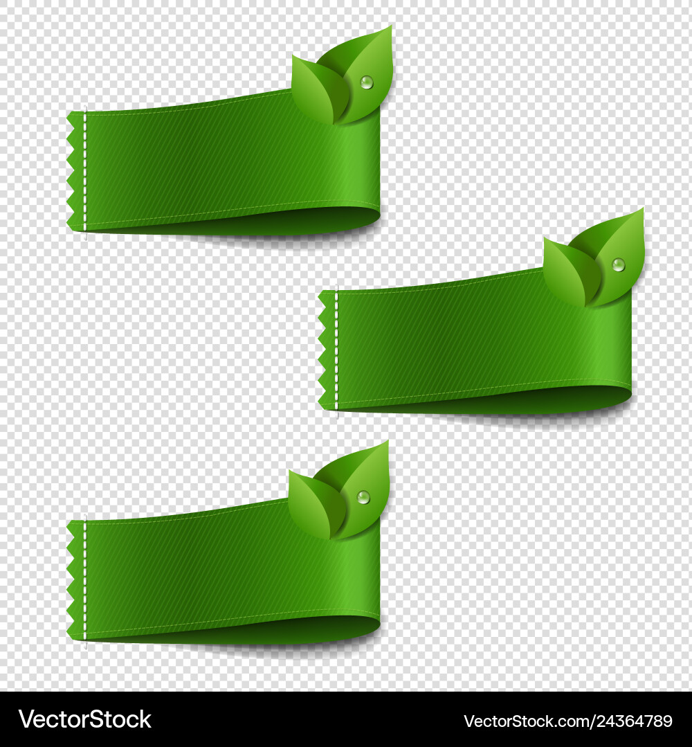 Bio-Etiketten transparent Hintergrund Lizenzfreier Vektor